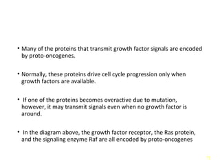 Cell cycle, its regulation and checkpoints | PPT