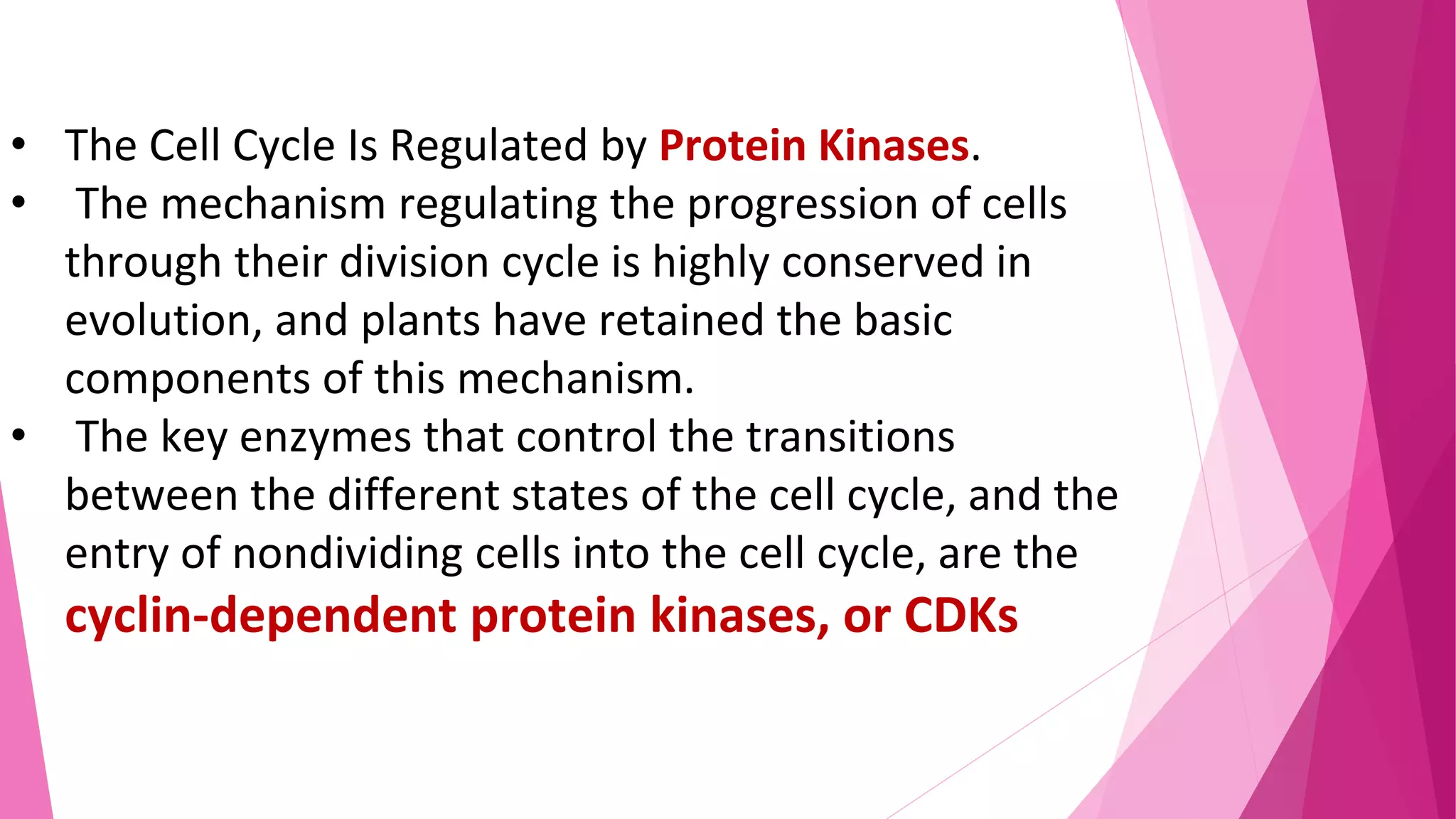 Cell cycle regulation ppt | PPTX