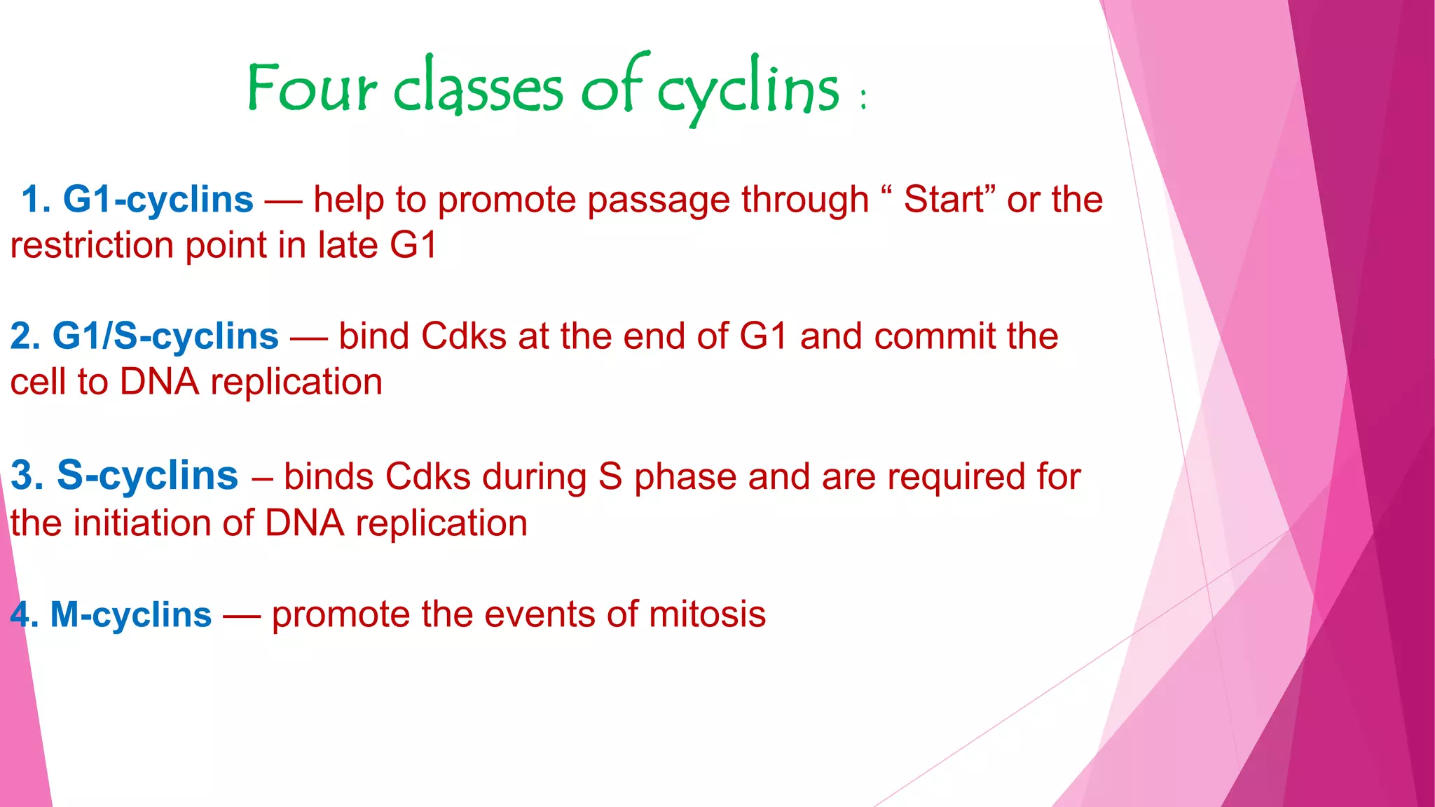 Cell cycle regulation ppt | PPTX