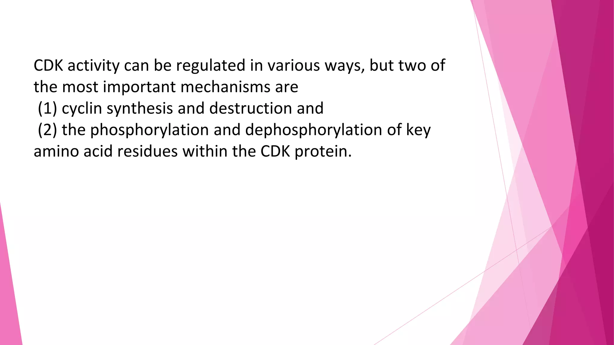 Cell cycle regulation ppt | PPTX