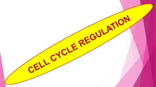 Cell cycle regulation ppt | PPTX
