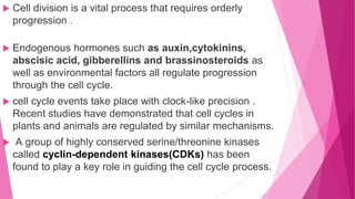 Cell cycle regulation ppt | PPTX