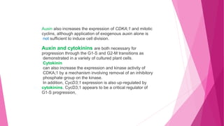 Cell cycle regulation ppt | PPTX