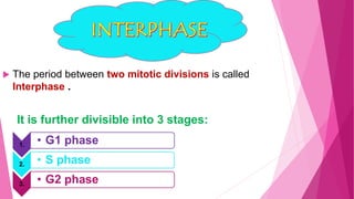 Cell cycle regulation ppt | PPTX