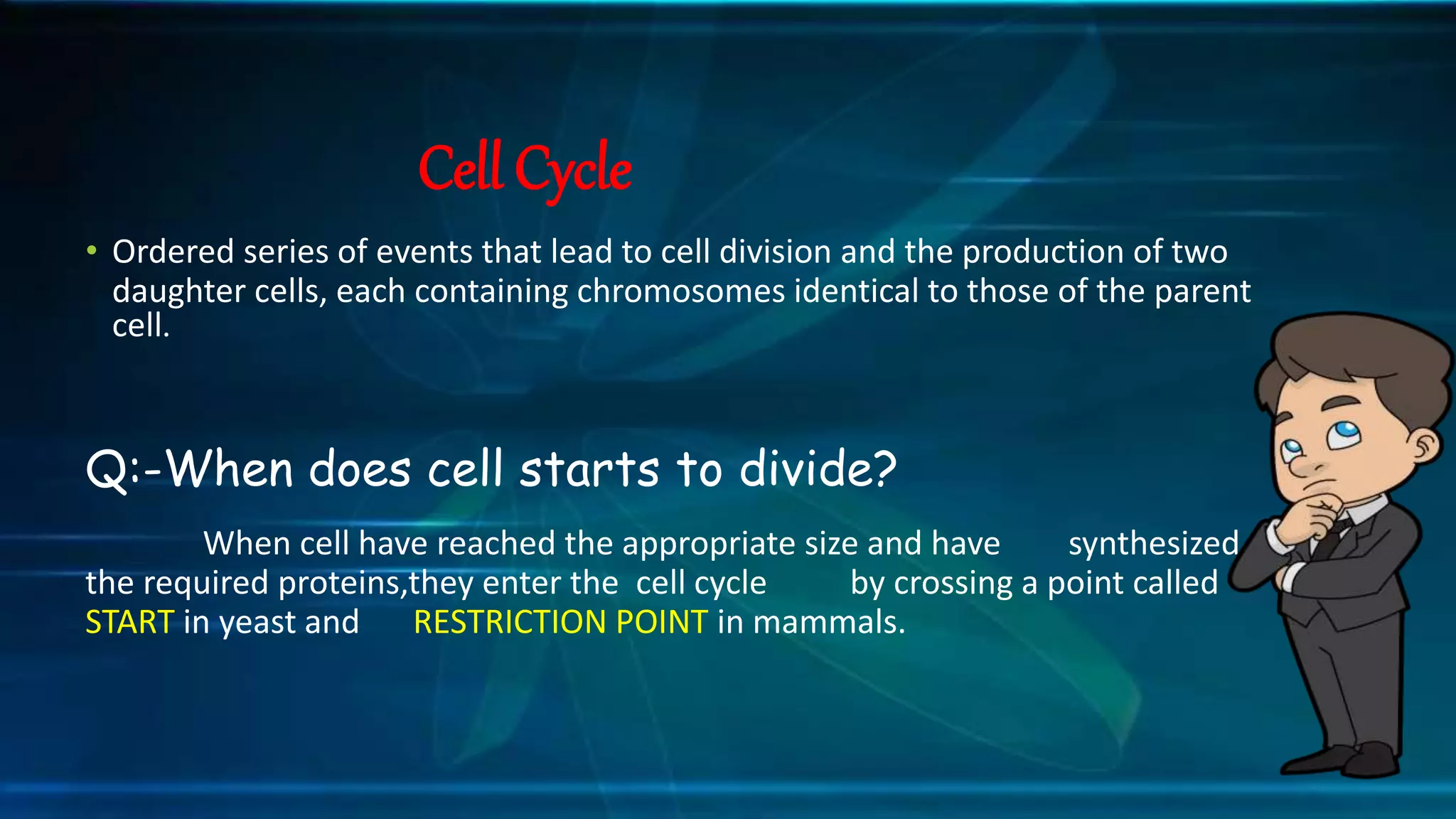 Cell cycle regulation ppt | PPTX