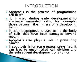 Dr. Saaraswathi_Assistant Professor_Cell Cycle Regulators.pptx