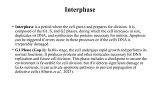 Cell cycle in relation to cell regulations and apoptosis | PPT