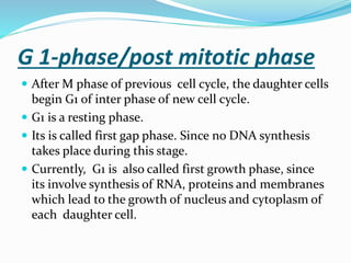 Cell cycle ( B.Sc Biotech) | PPT