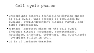 Cell Cycle_ Usman.pptx sasgdgdb vdf g g rg g | PPT