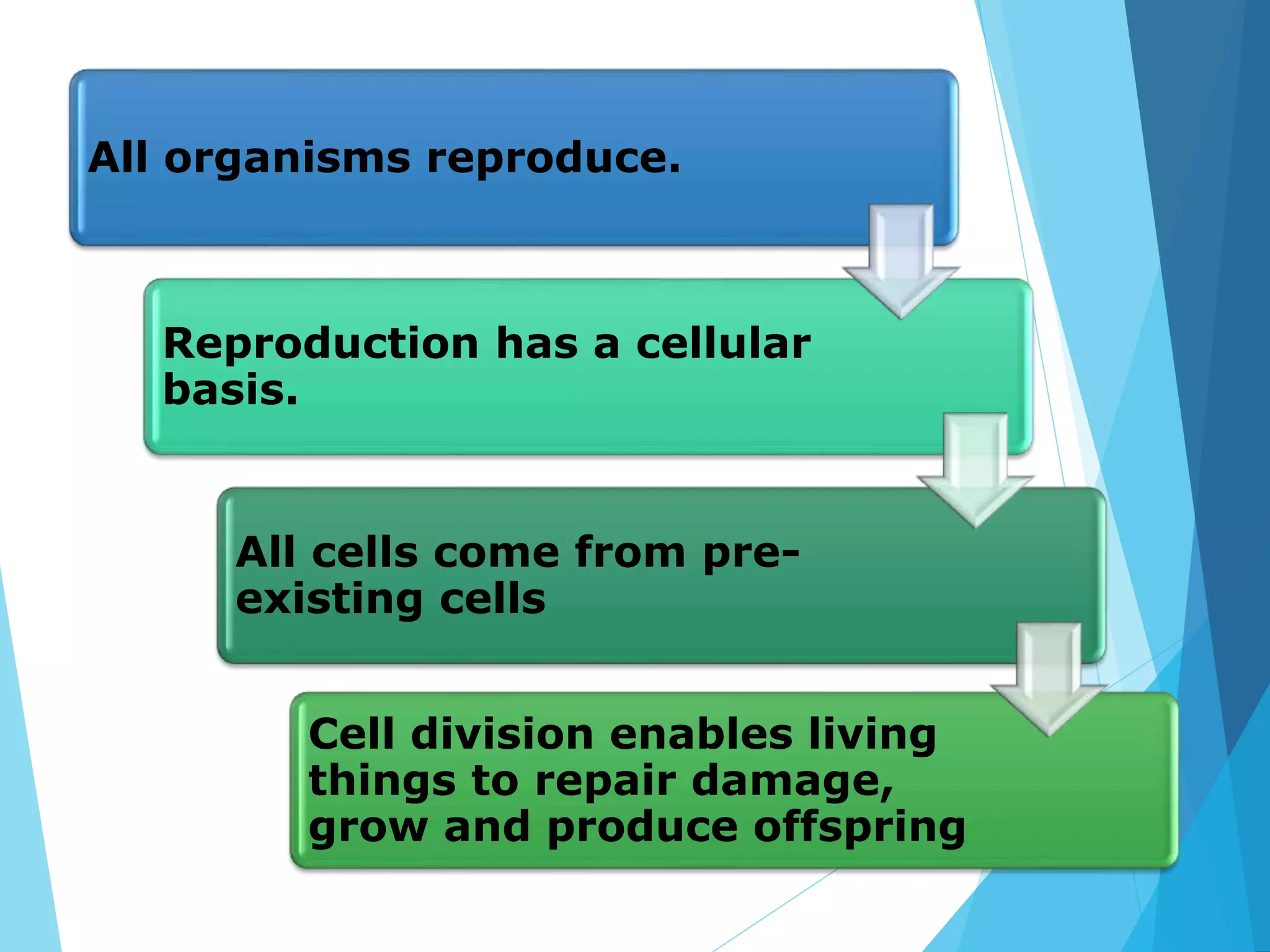 Cell cylce and cell division, an introduction | PPTX | Biological ...