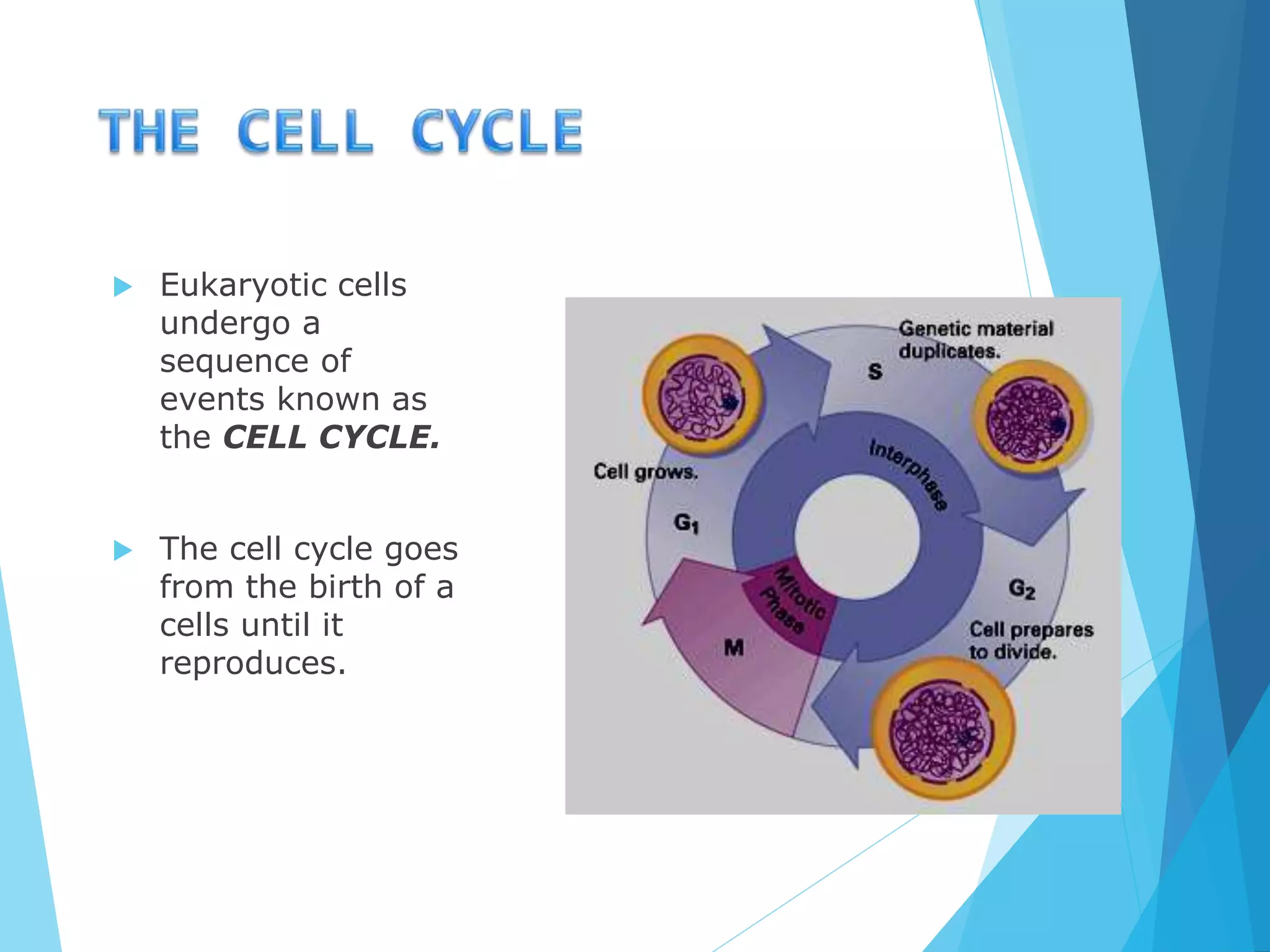 Cell cylce and cell division, an introduction | PPTX | Biological ...