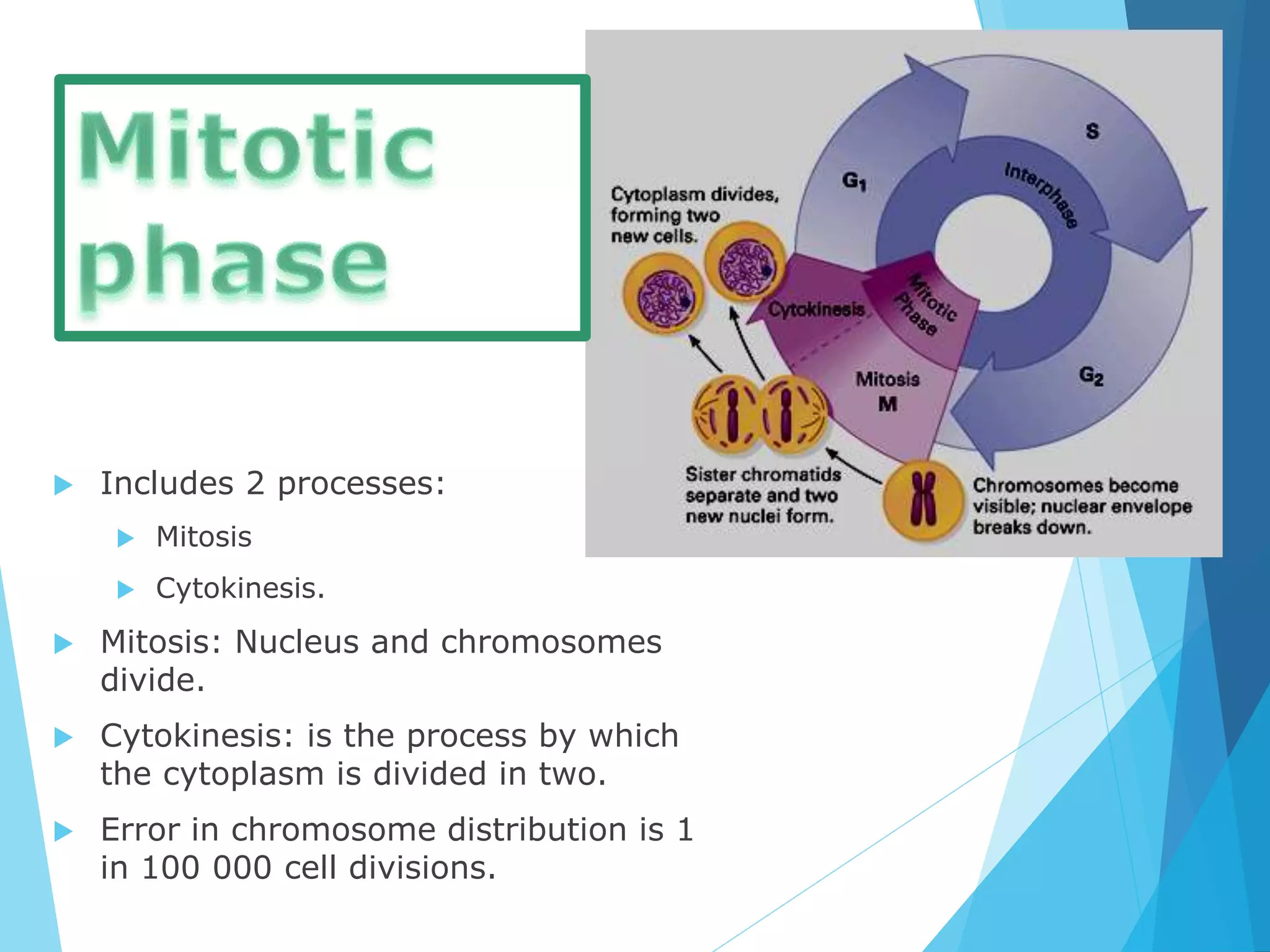 Cell cylce and cell division, an introduction | PPTX | Biological ...