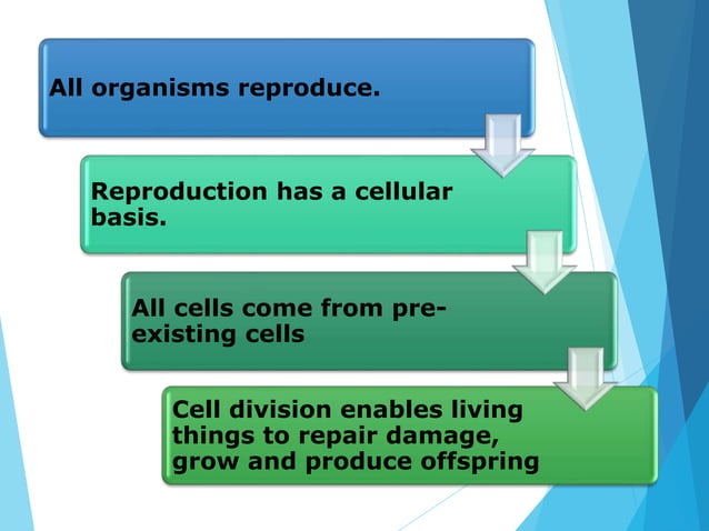 Cell cylce and cell division, an introduction | PPTX | Biological ...