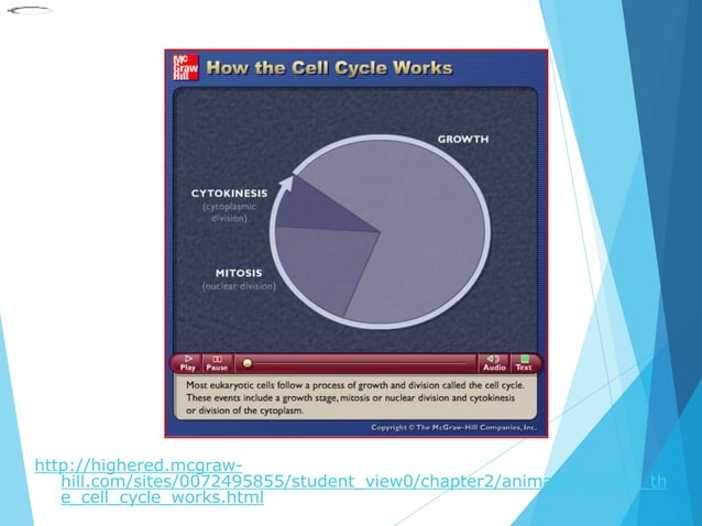 Cell cylce and cell division, an introduction | PPTX | Biological ...