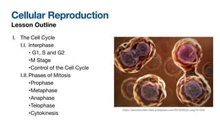 The Cell Cycle and Cellular Reproduction | PDF