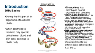 The Cell Cycle and Cellular Reproduction | PDF