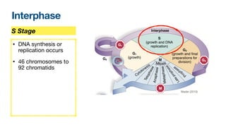 The Cell Cycle and Cellular Reproduction | PDF