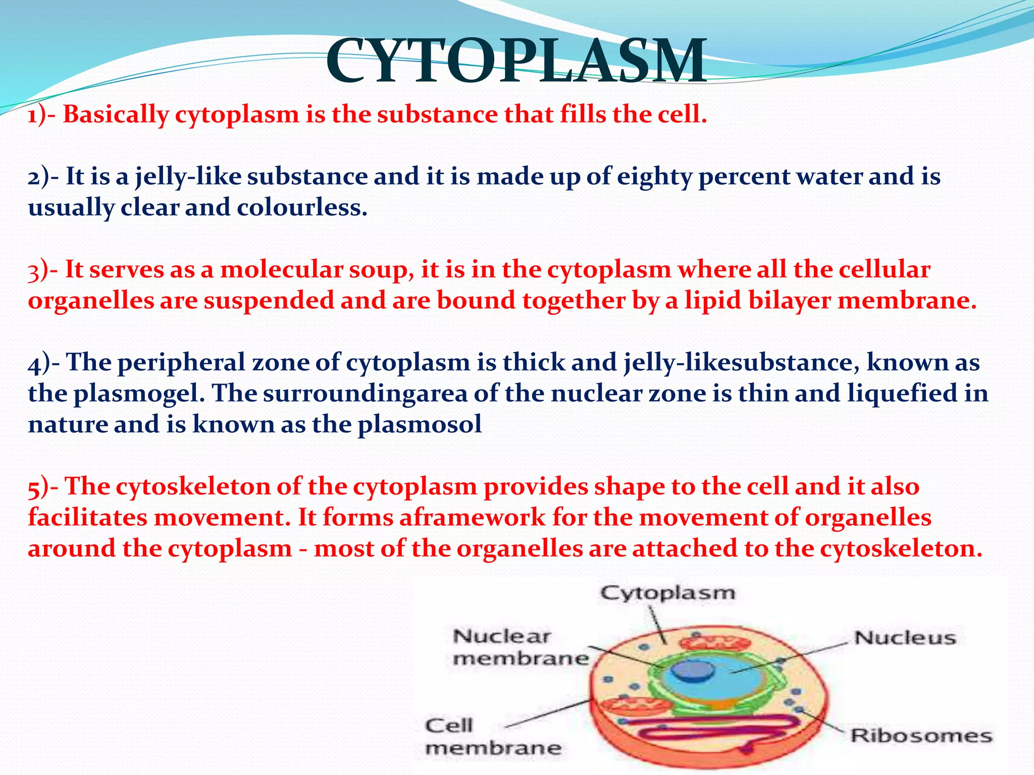 HUMAN CELL AND TISSUE ( cytology ) | PPTX