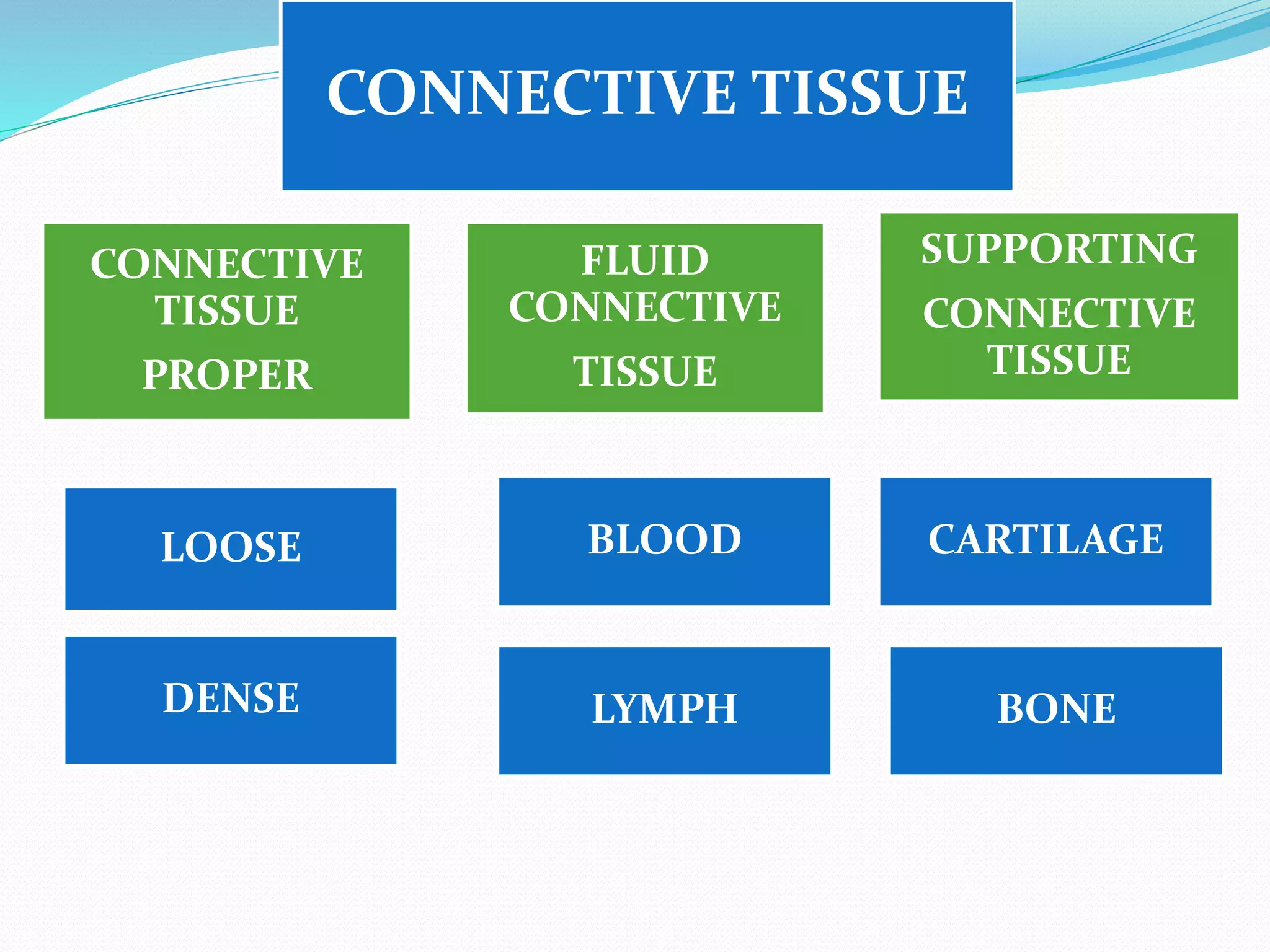 HUMAN CELL AND TISSUE ( cytology ) | PPTX
