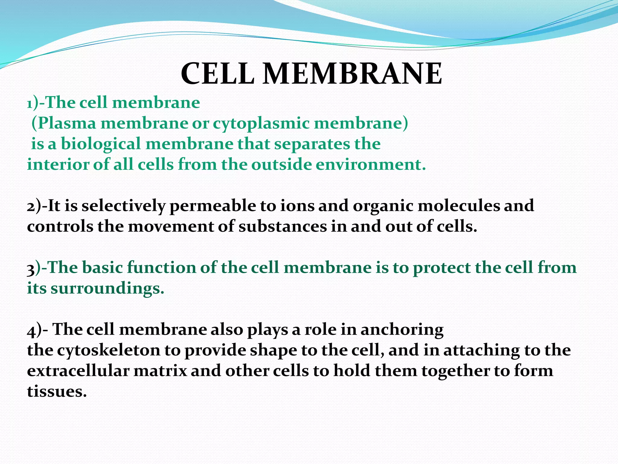 HUMAN CELL AND TISSUE ( cytology ) | PPTX
