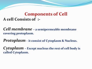 HUMAN CELL AND TISSUE ( cytology ) | PPTX