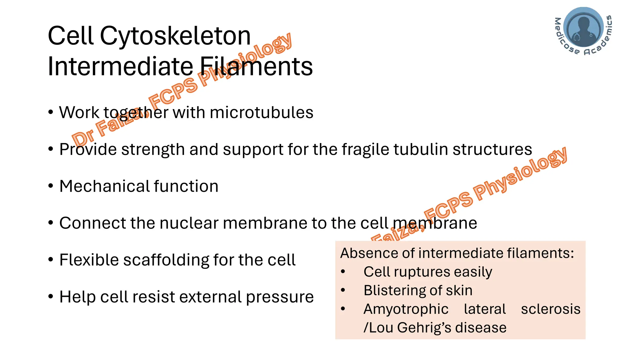 Cell cytoskeleton and molecular motors.pdf