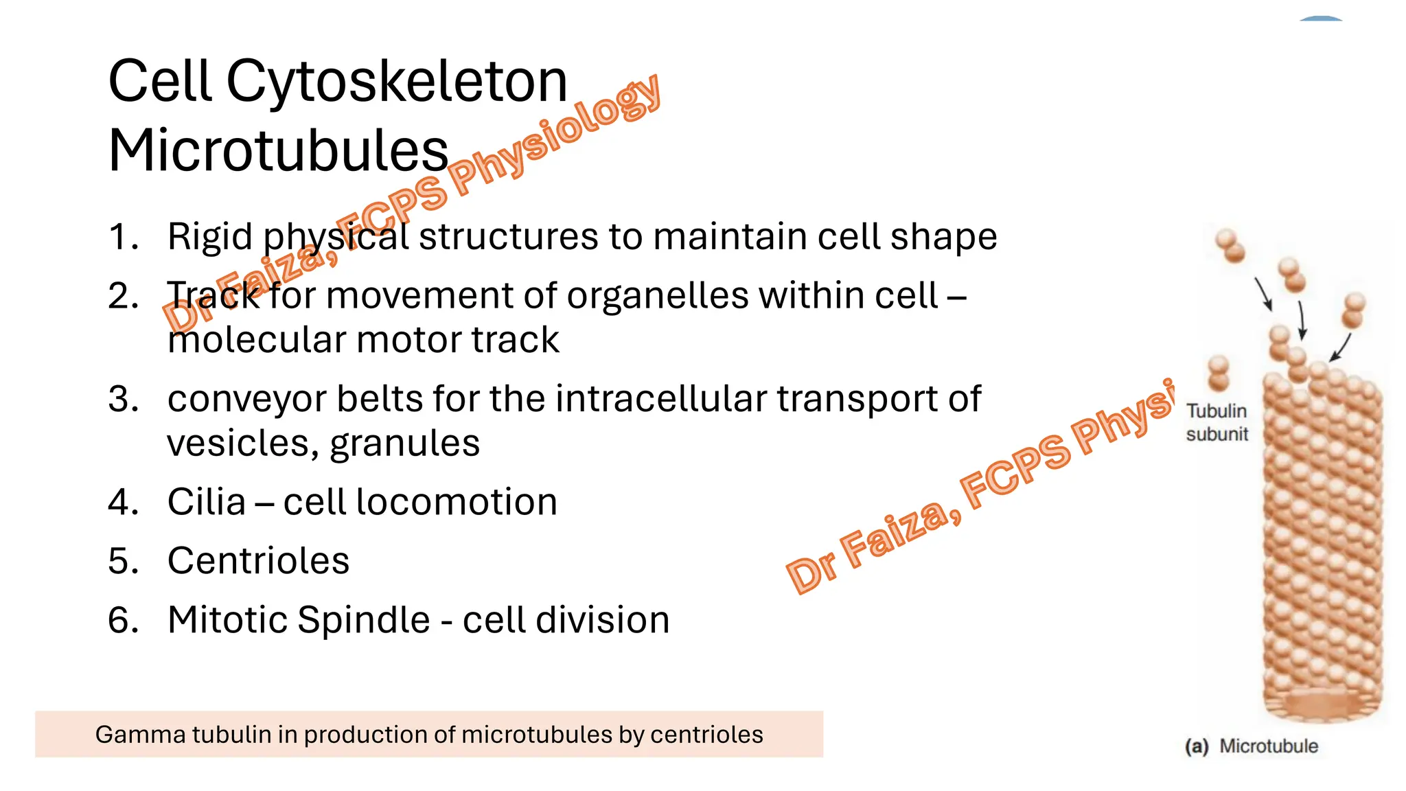 Cell cytoskeleton and molecular motors.pdf