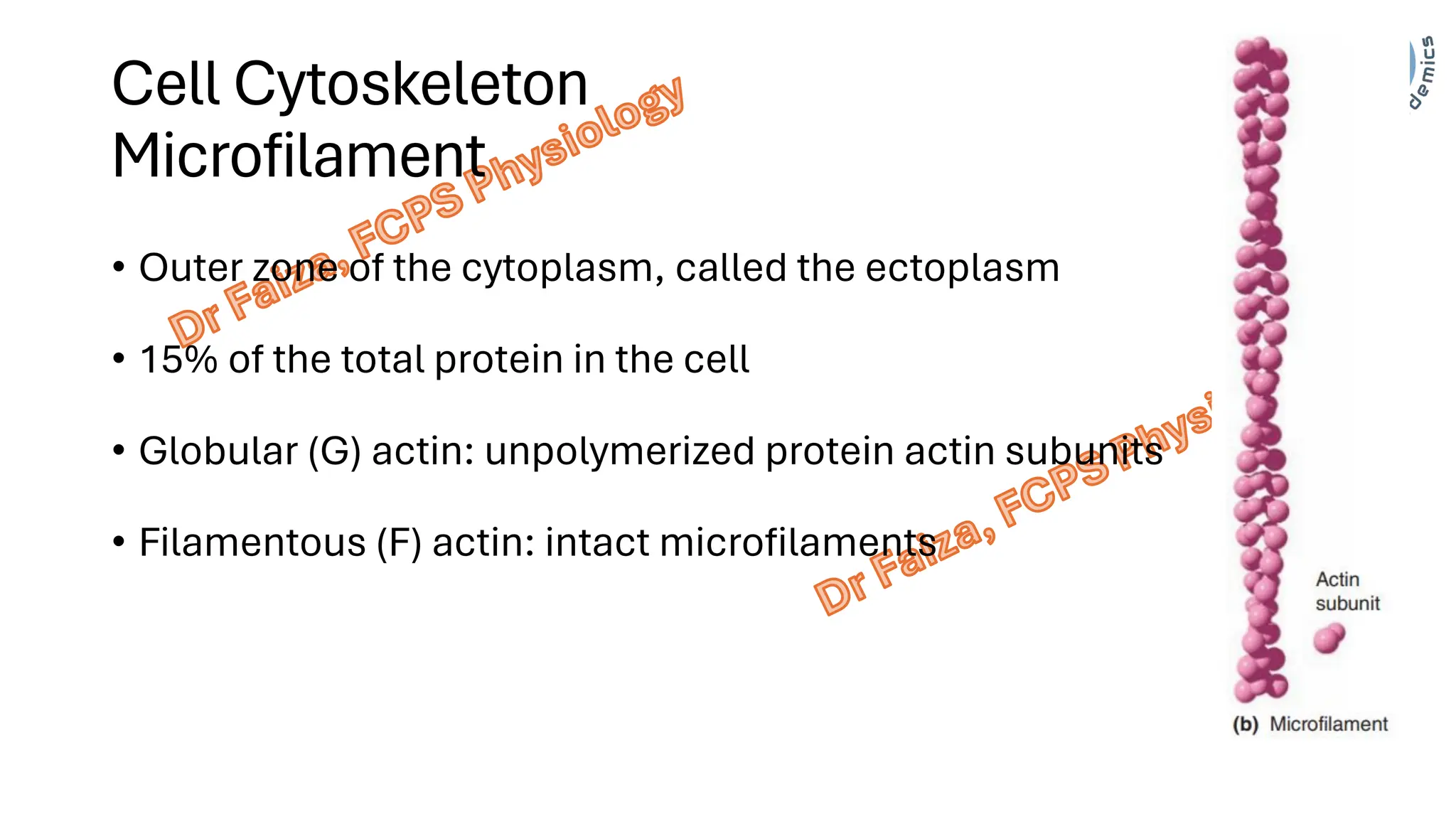 Cell cytoskeleton and molecular motors.pdf