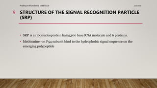 PROTEIN TOPOGENSIS ( TRANSPORT OF PROTEIN IN ER LUMEN) | PPT