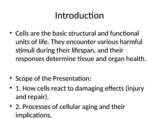 Cell_Damage_Aging_Detailed_Presentation.pptx