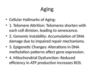 Cell_Damage_Aging_Detailed_Presentation.pptx