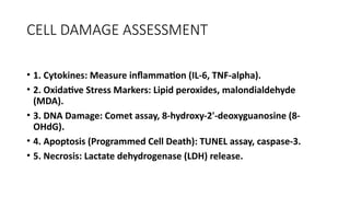 CELL DAMAGE AND PROLIFERATION ASSESSMENT.pptx