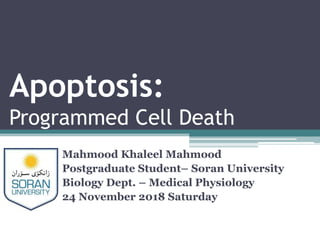 Apoptosis: Programmed Cell Death | PDF