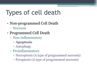 Apoptosis: Programmed Cell Death | PDF