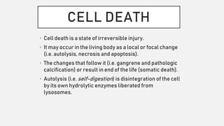 CELL DEATH - 2.pptx