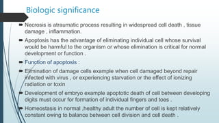 Cell death | PPTX
