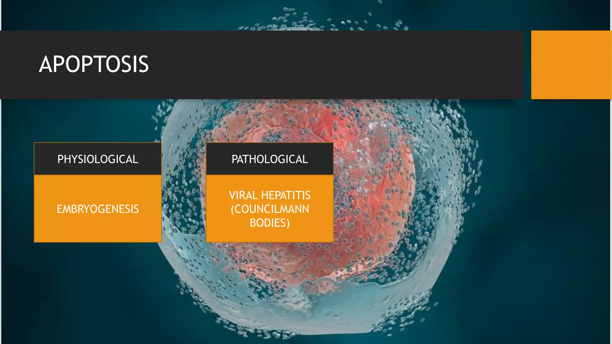 Cell death - Pathology | PPTX
