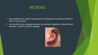 Cell death.pptx