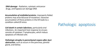 adaptation, cell injury and cell death | PPTX