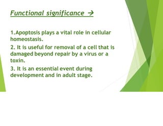 Cell Death physiology for mbbs, BPT, bds........pdf