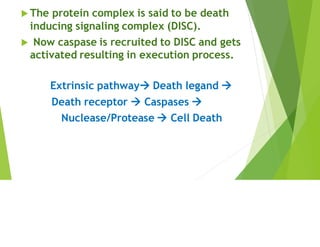 Cell Death physiology for mbbs, BPT, bds........pdf