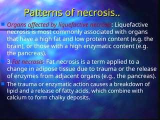 Cell death.ppt at isamic university in Uganda | PPT | Biological ...