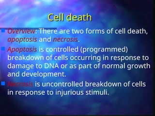 Cell death.ppt at isamic university in Uganda | PPT | Biological ...