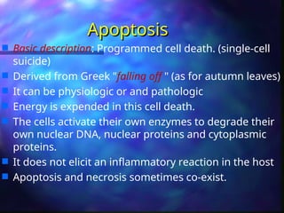 Cell death.ppt at isamic university in Uganda | PPT