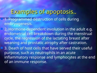 Cell death.ppt at isamic university in Uganda | PPT | Biological Sciences | Science