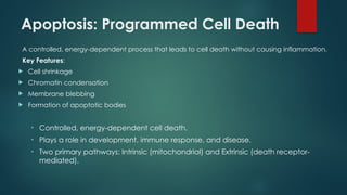 cell death in cellular functions of. Human body cell | PPTX