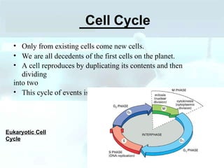 cell death. microbiology easy 2nd year ppt | PPT