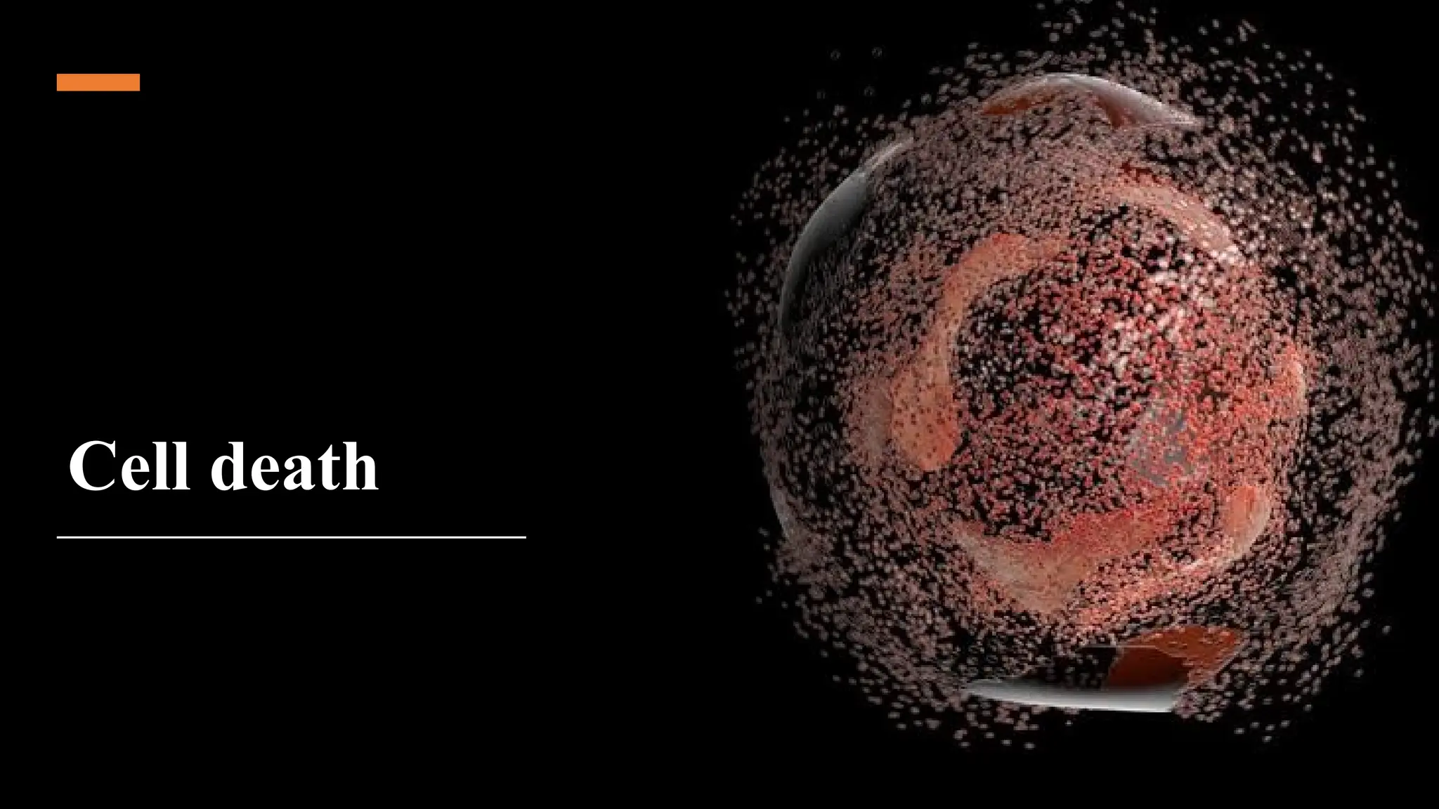 Cell death.pptx and apoptosis cycle in cellular life | PPTX