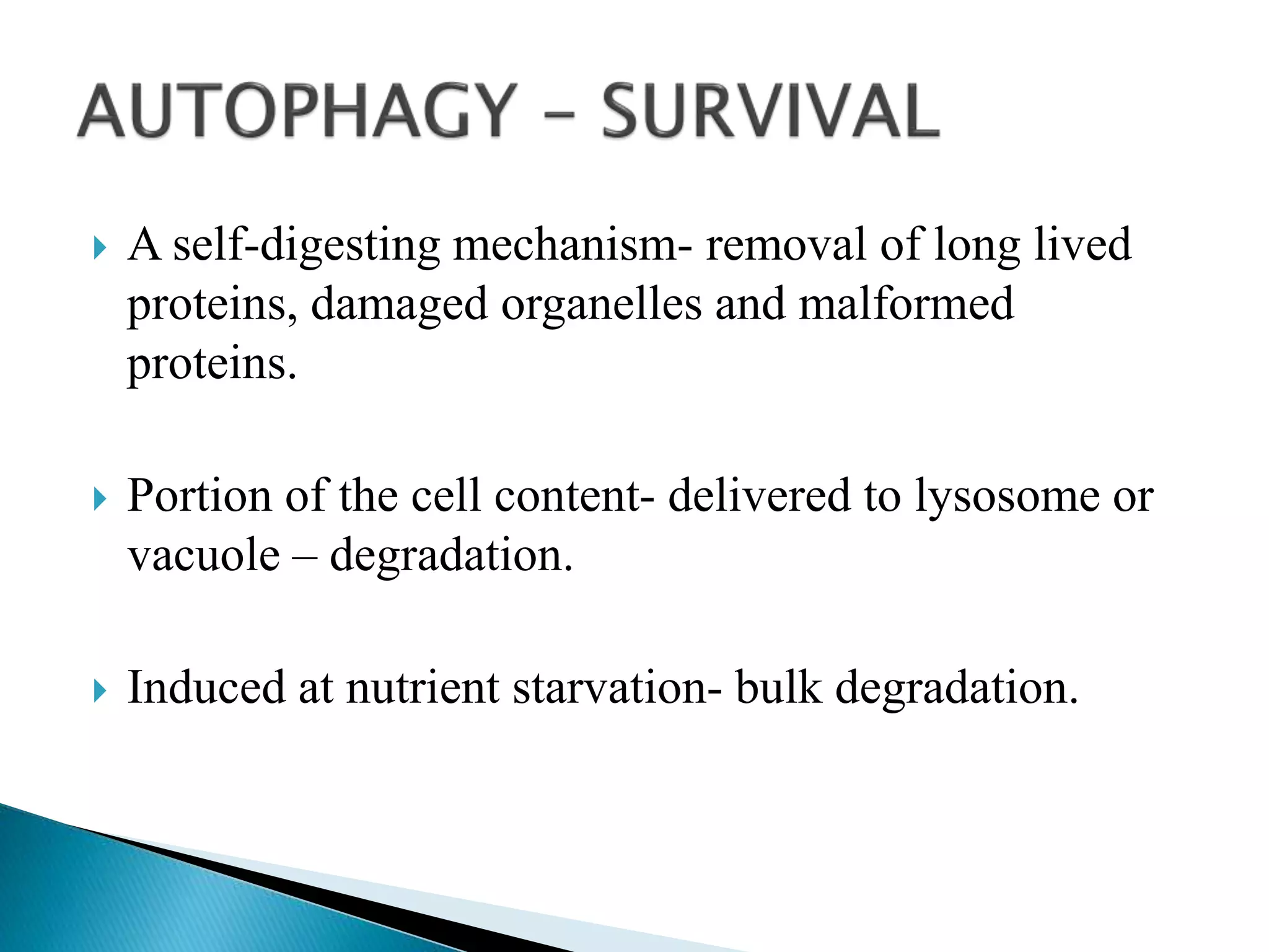 autophagy- survival and cell death. | PPTX
