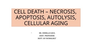 Cell death - Necrosis, apoptosis, autolysis, cellular aging | PPTX